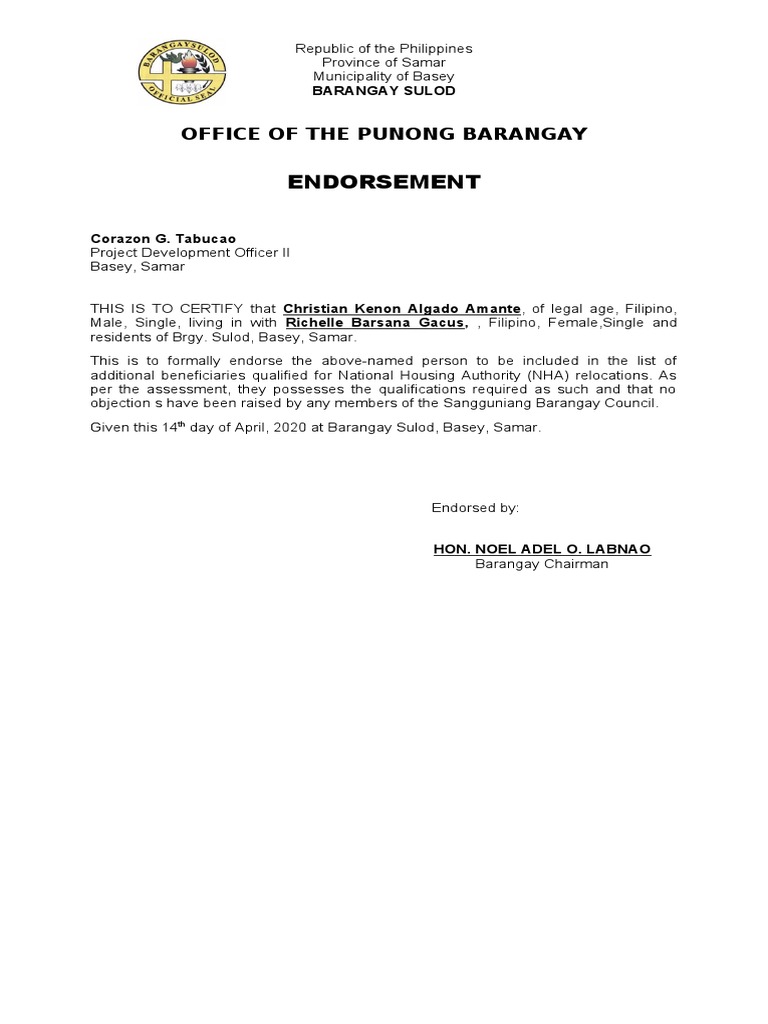 Endorsement Letter | PDF