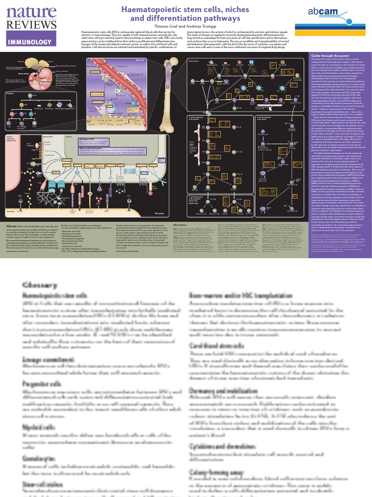 Nri0707 HSC Poster | PDF