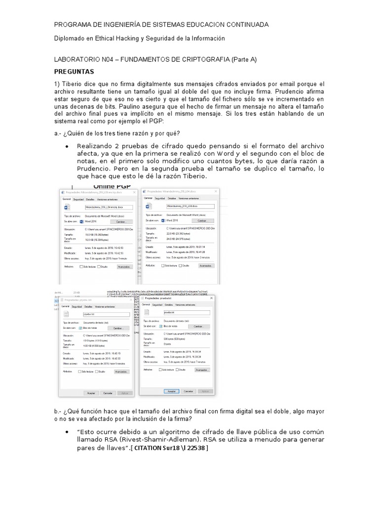 Criptografía y Seguridad en Hacking | PDF | Clave (criptografía) | Cifrado