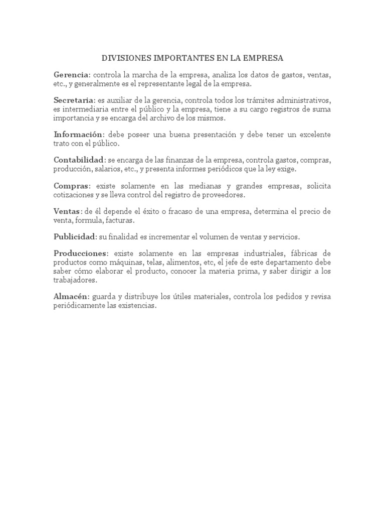 Divisiones Importantes en La Empresa | PDF