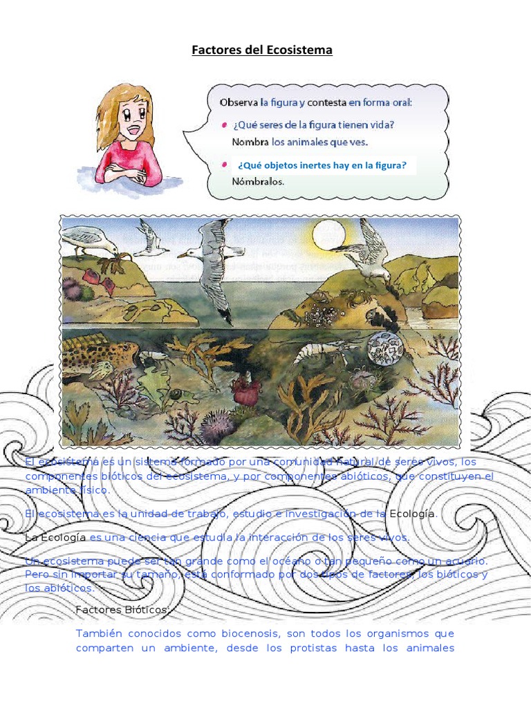 Ciencias Naturales Individuo, Población, Comunidad y Ecosistema ...