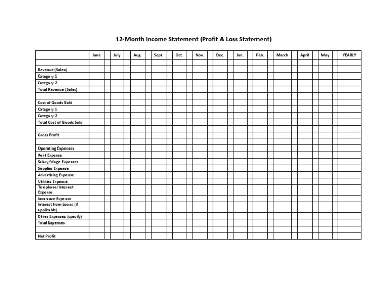 12 - Month Income Statement (Profit & Loss Statement) | PDF | Expense ...