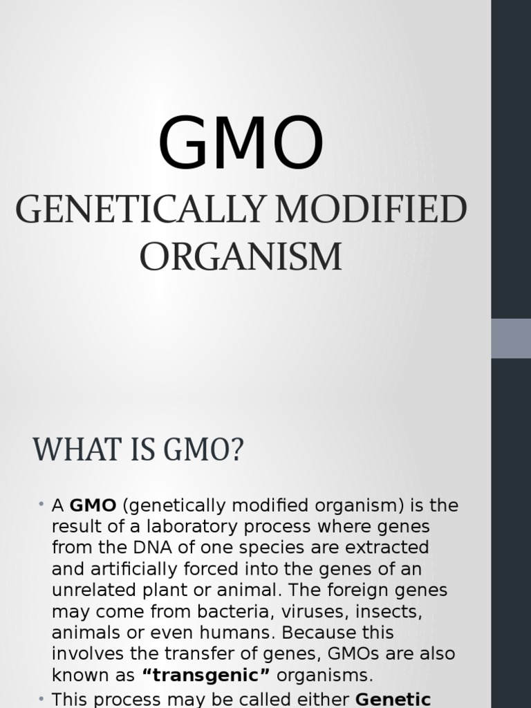 An Overview of Genetically Modified Organisms: From the First GMO ...