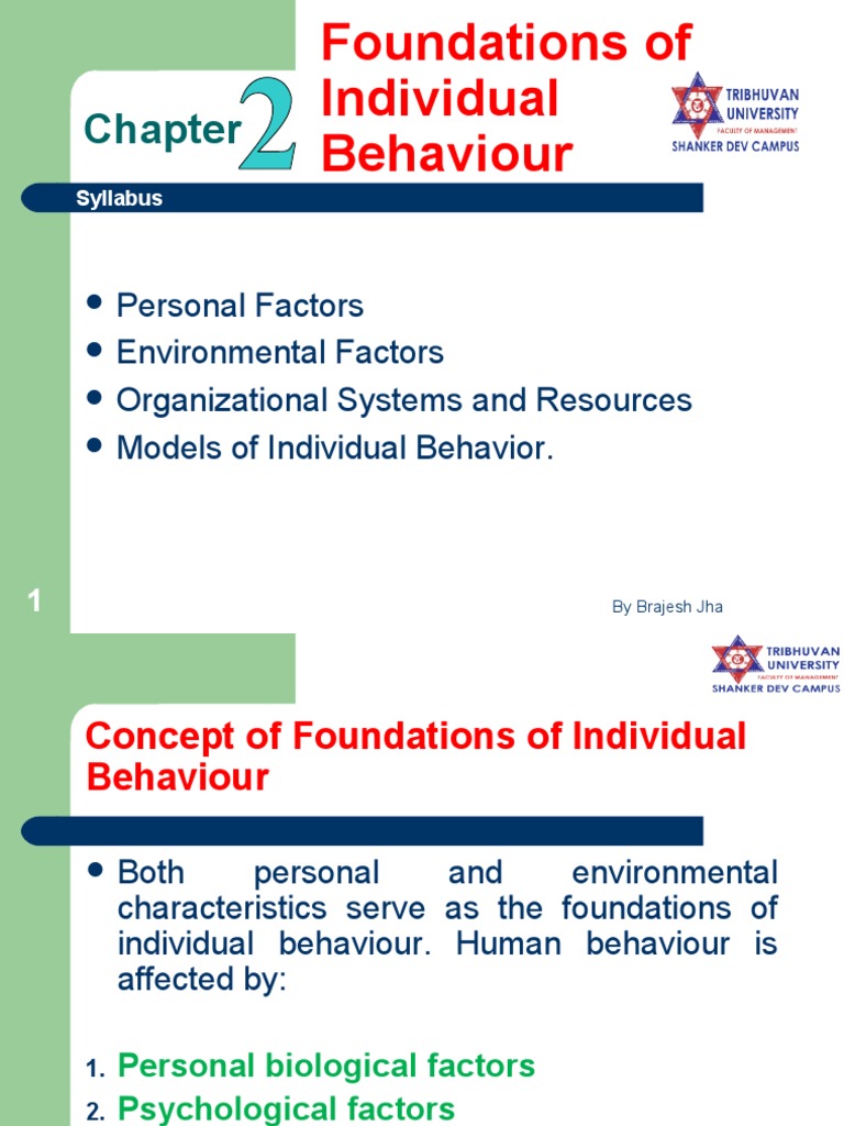 Foundations of Individual Behavior | PDF | Human Behavior | System