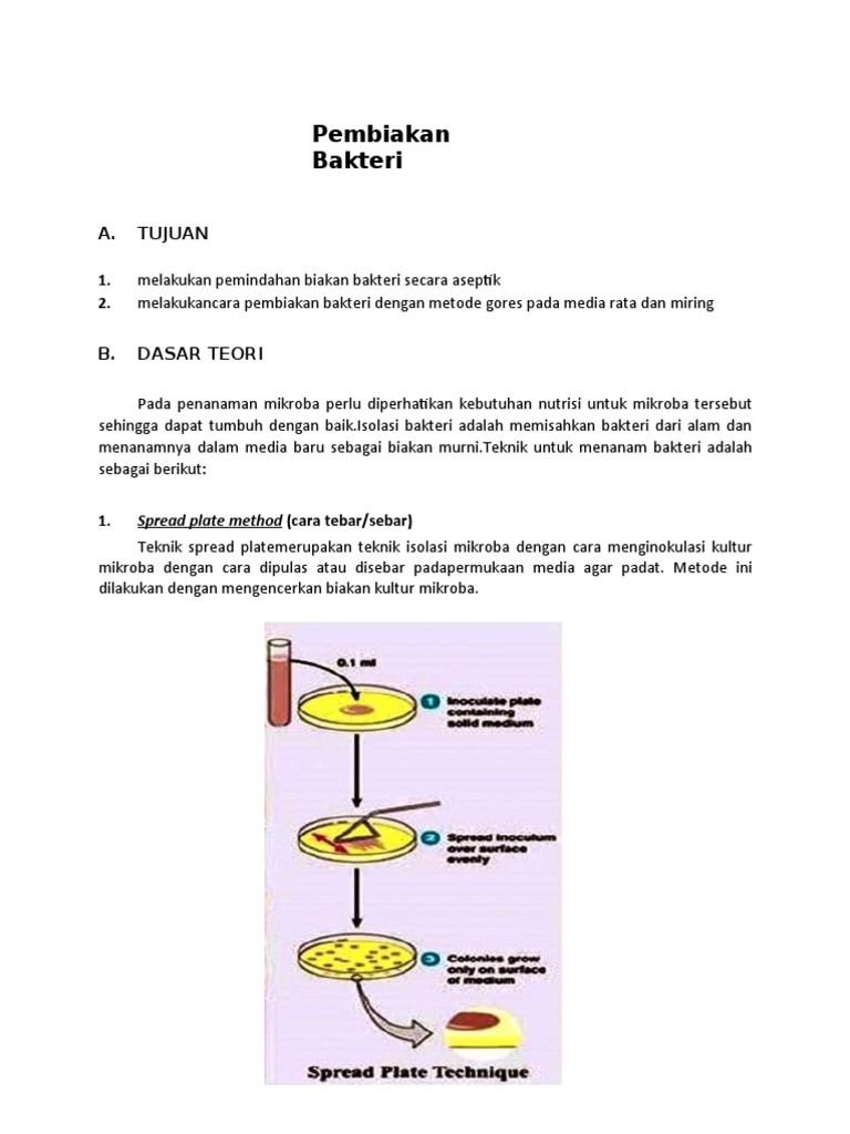 Pembiakan Bakteri | PDF