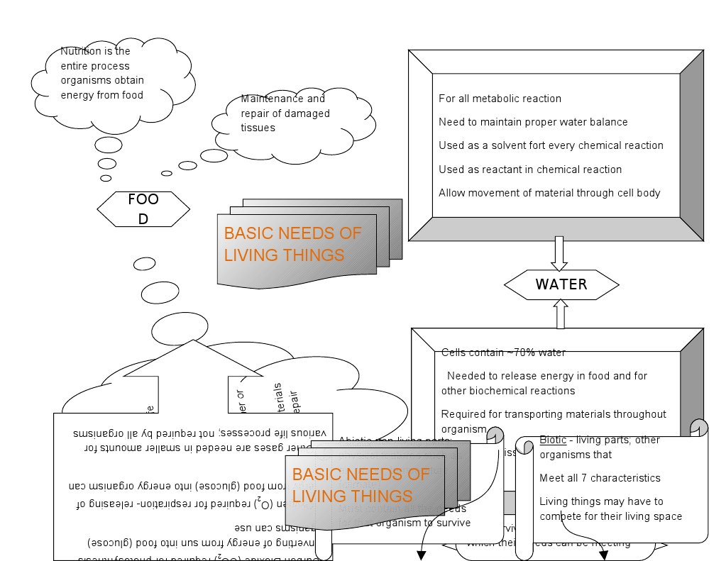 Basics Needs Living Things | PDF