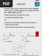 Struktur Dan Sifat Amina | PDF