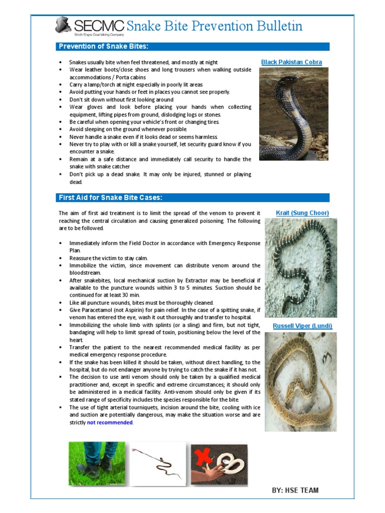 Snake Bite Prevention and First Aid Guide | PDF | Medical Specialties ...