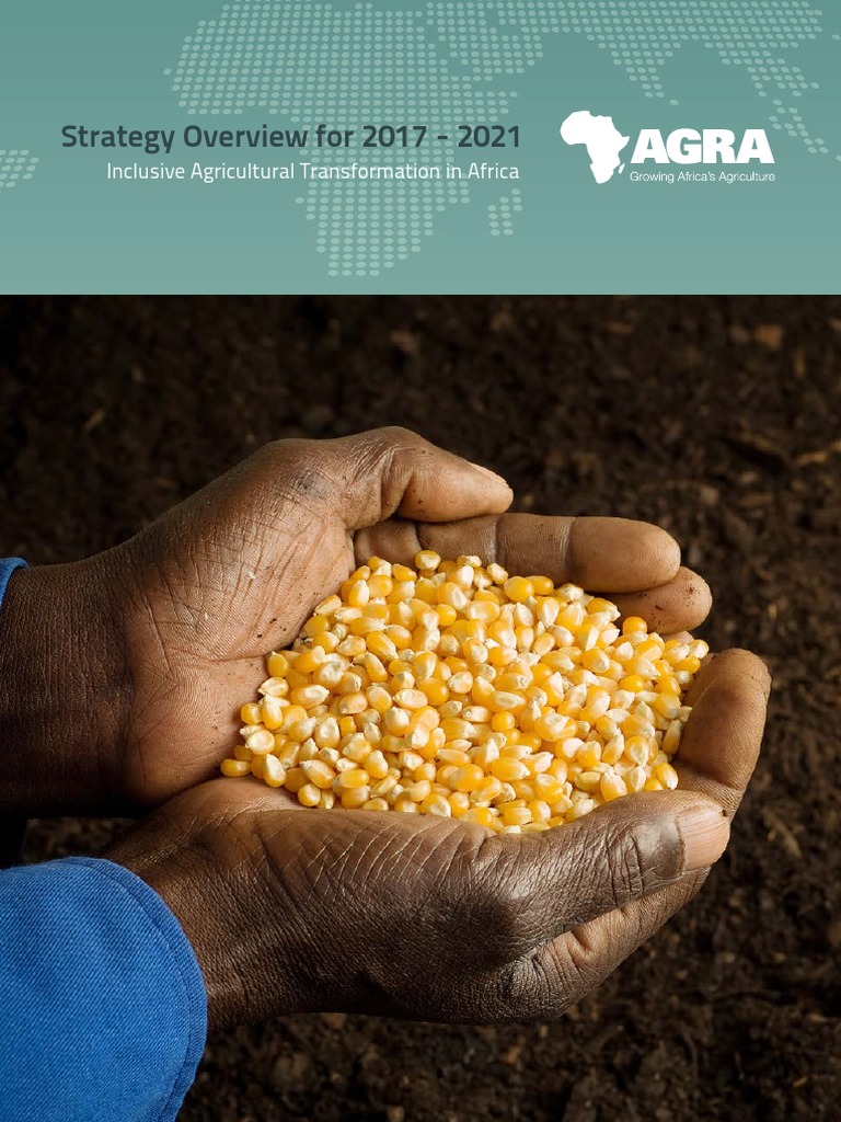 Agra Corporate Strategy Doc 3 2 Pdf Agriculture Economies