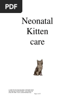 OFRAS Patient Safety | PDF | Clinical Trial | Obstetrics