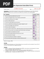 Self-Reporting Questionnaire srq-20 PDF | PDF
