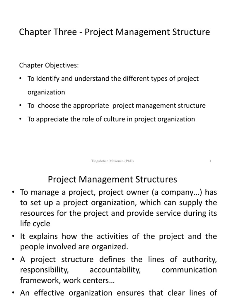 Chapter Three - Project Management Structure: Tsegabrhan Mekonen (PHD ...