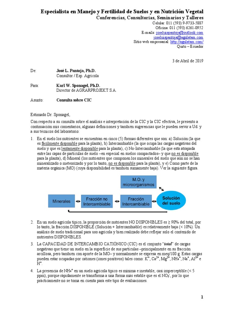 CIC Vs CIC Efectiva PDF | PDF | Ph | Materiales naturales
