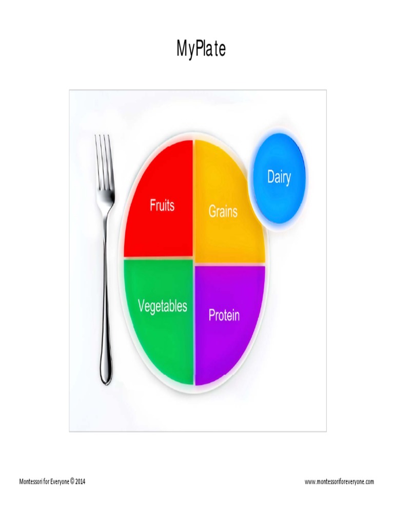 Myplate: Montessori For Everyone © 2014 | PDF | Fruit | Breads