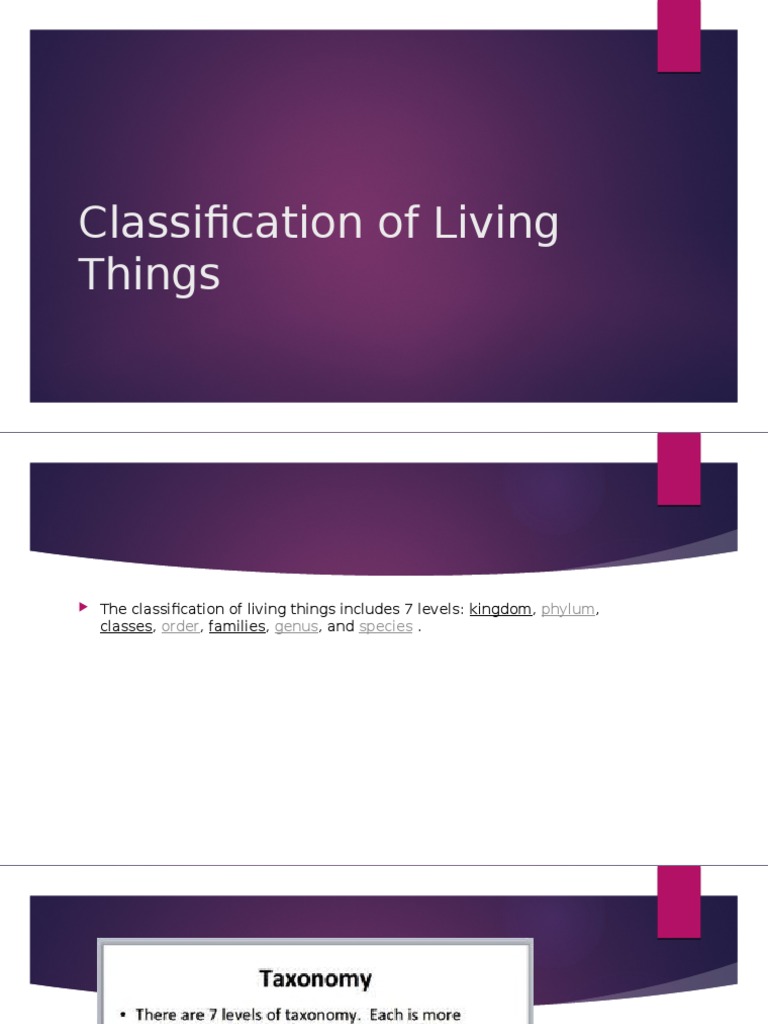 Classification of Living Things | PDF