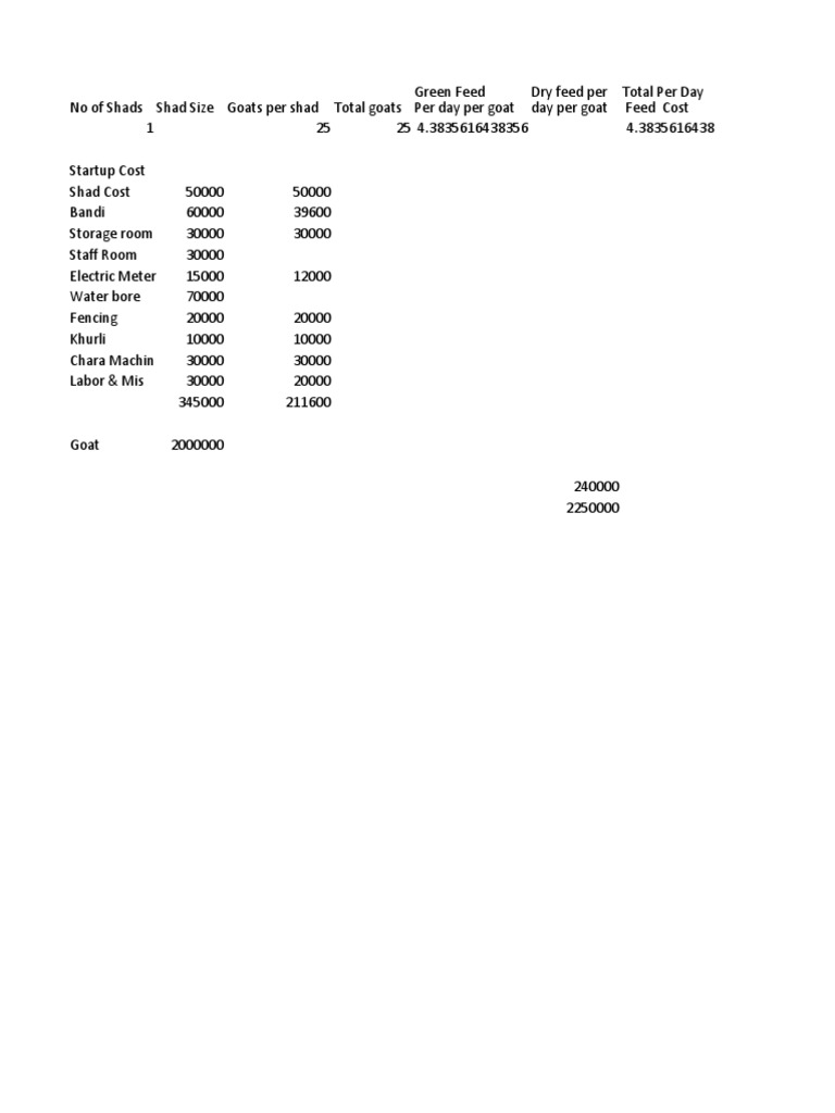 S&N's Goat Farm Budget and 5-Year Forecasting: Capital Investments ...