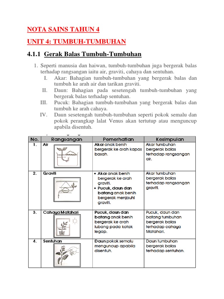 Nota Sains Tahun 4 Unit 4 Tumbuhan Pdf
