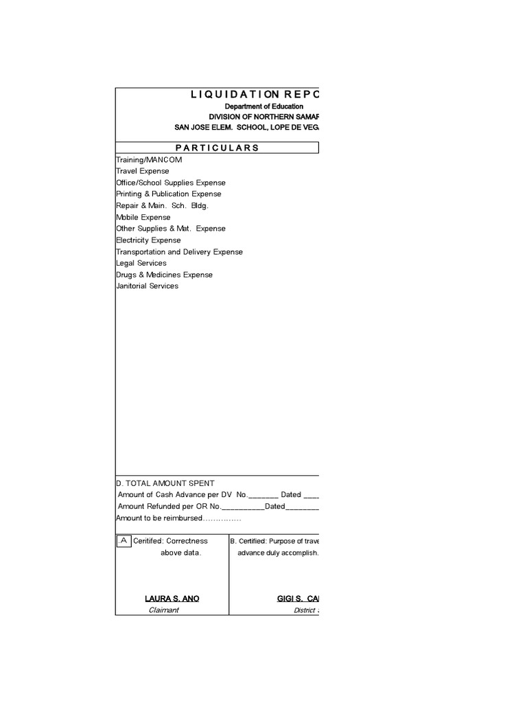 Liquidation Report: Particulars | PDF | Payments | Services (Economics)
