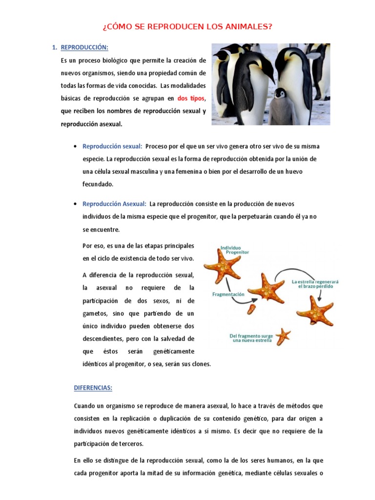 Como Se Reproducen Los Animales | PDF | Reproducción | Sexo