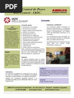 Open Wells | PDF | Programa de computadora | Programación