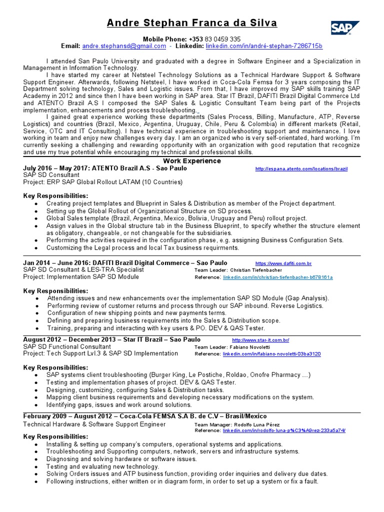 Andre Stephan Franca Da Silva: Work Experience | PDF | Sap Se | Server ...