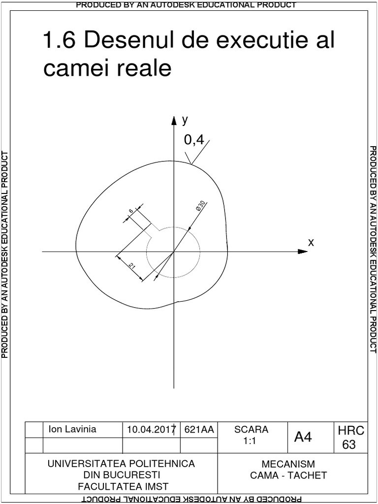 Desen de Executie Cama Reala Bunaa | PDF