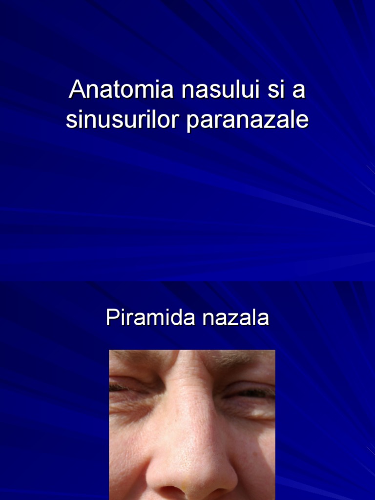 Anatomia Nasului Si A Sinusurilor Paranazale | PDF