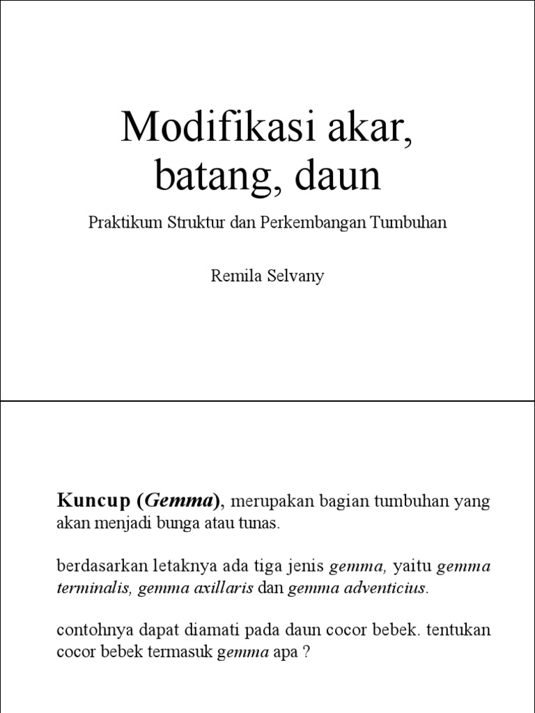 Modifikasi Akar, Batang, dan Daun Tumbuhan | PDF