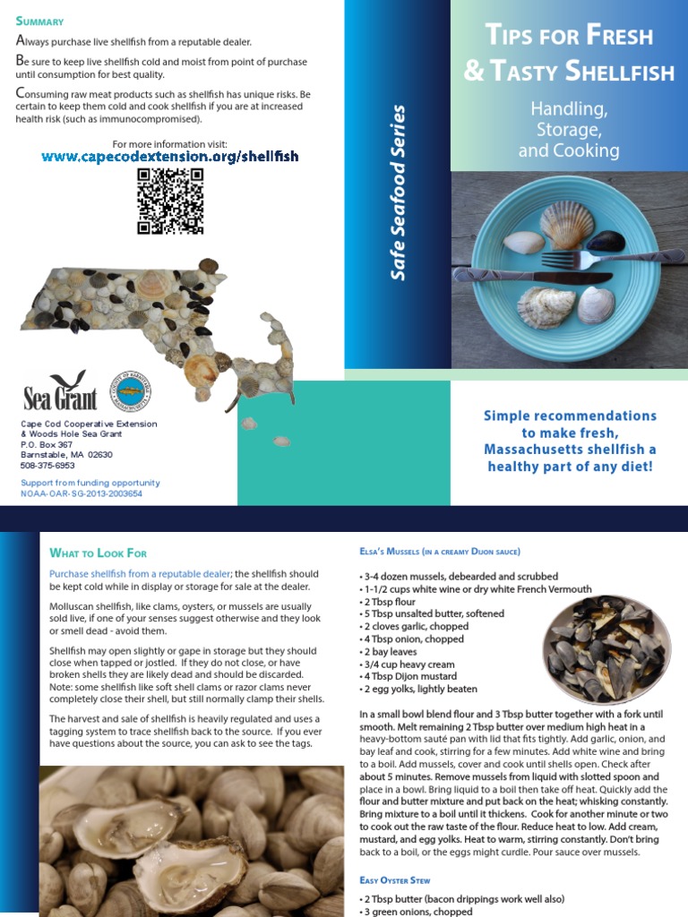 Tips For Fresh and Tasty Shellfish Handling Storage and Cooking ...