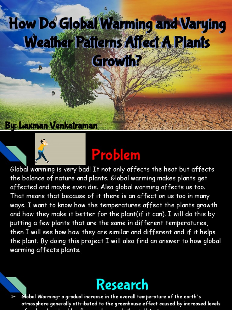 How Does Global Warming and Varying Weather Patterns Affect A Plants ...