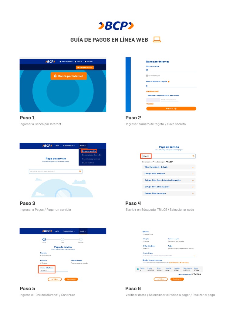Guia de Pagos BCP PDF | Descargar gratis PDF | Informática y tecnología de la información | Science