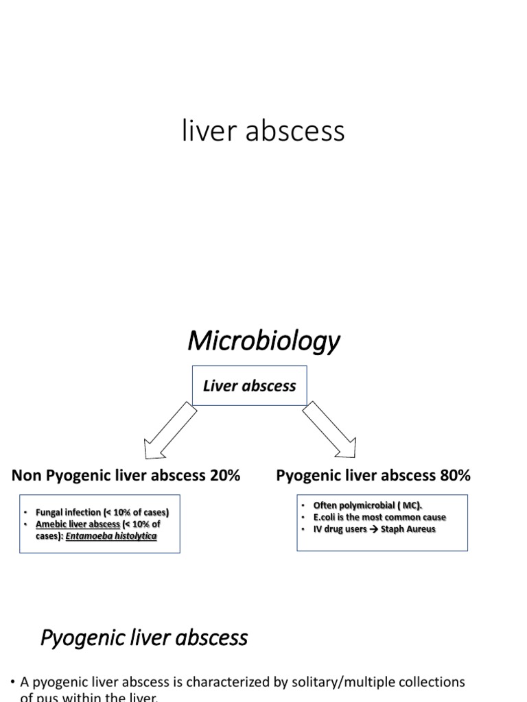 Liver Abscess | PDF | Liver | Medical Imaging