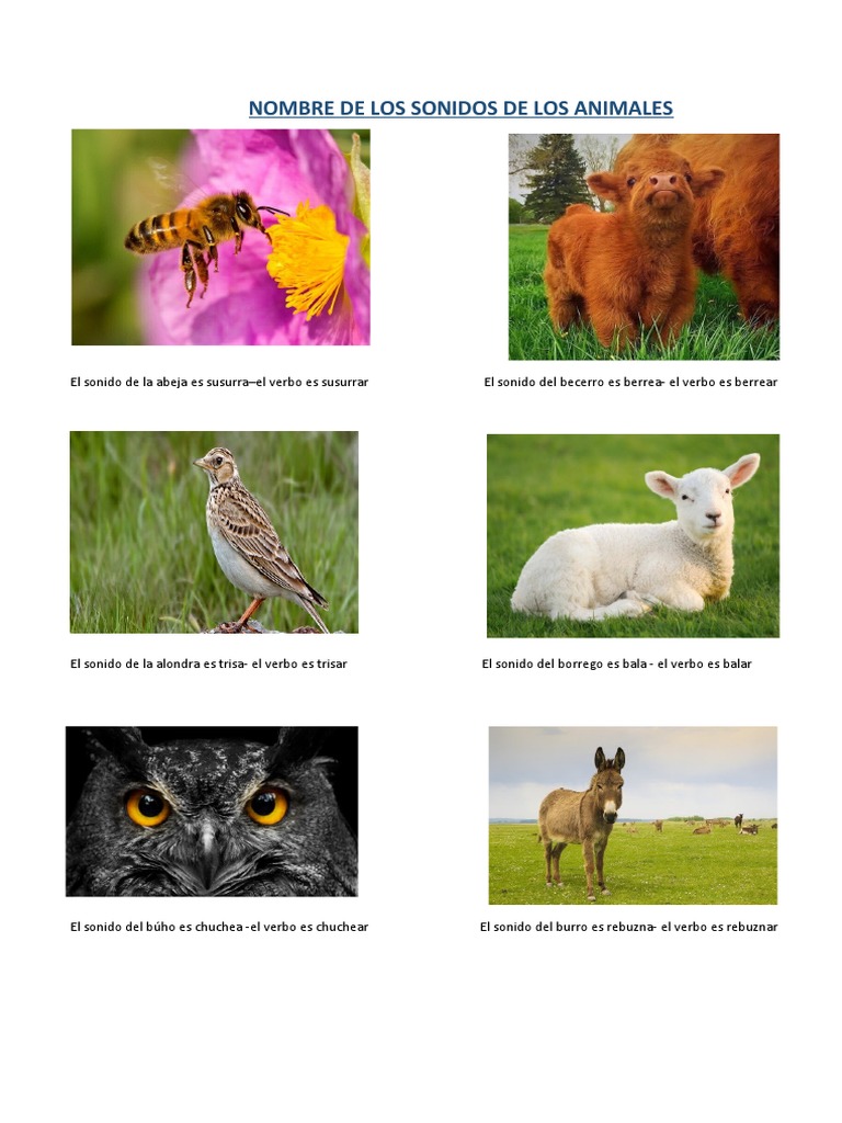 Nombre de Los Sonidos de Los Animales | PDF | Domesticación | Ganado