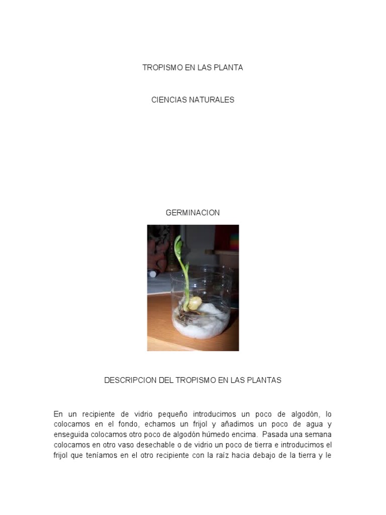 Tropismo en Las Plantas | PDF