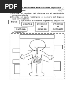 Sopa de Letras. Aparato Digestivo | PDF
