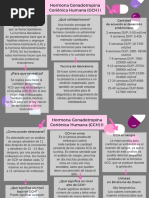 Prueba Gravindex para Diagnóstico de Embarazo | PDF