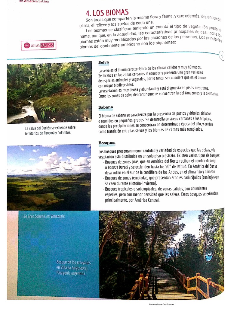 Los Biomas | PDF