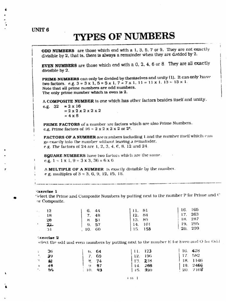Types If No | PDF