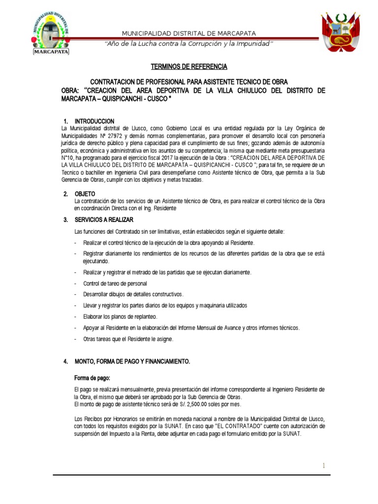 TDR Asistente Tecnico | PDF | Gobierno local | Política