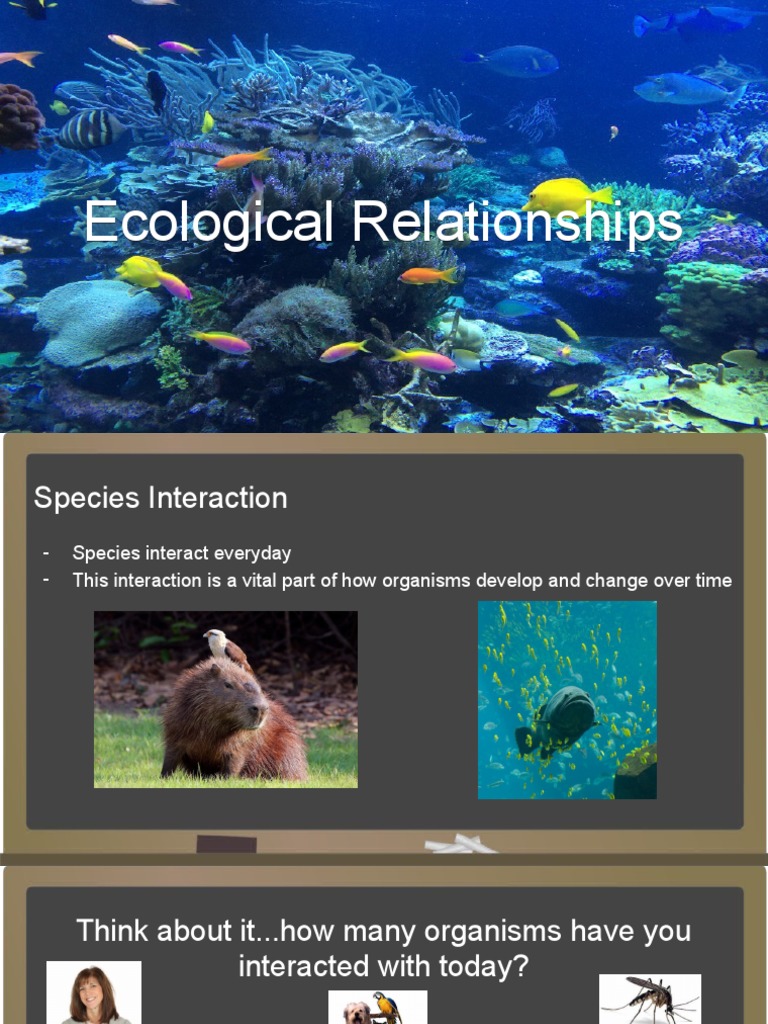 Ecological Relationships 1 | PDF | Symbiosis | Parasitism