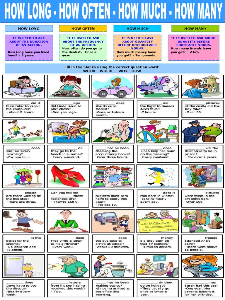 How Much How Often How Long How Many | PDF