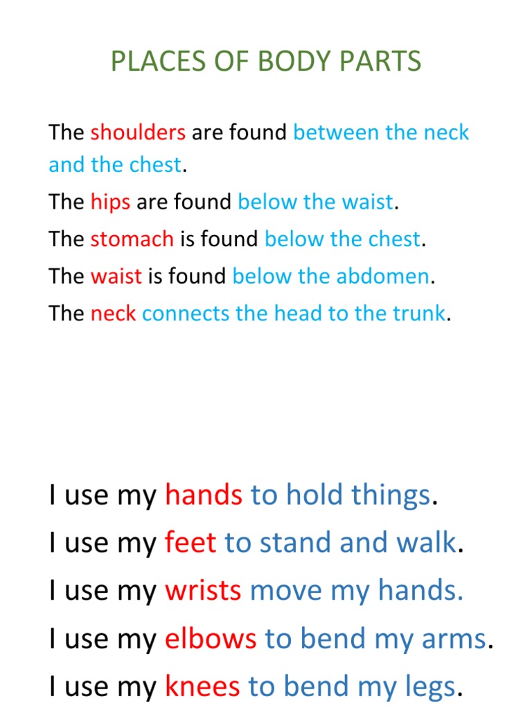Places of Body Parts | PDF
