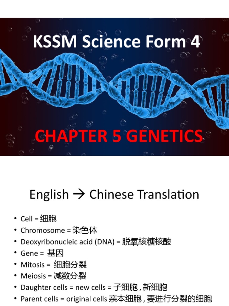 F4 Chapter 5 KSSM SCIENCE DLP Chinese Translation | PDF | Meiosis | Mitosis