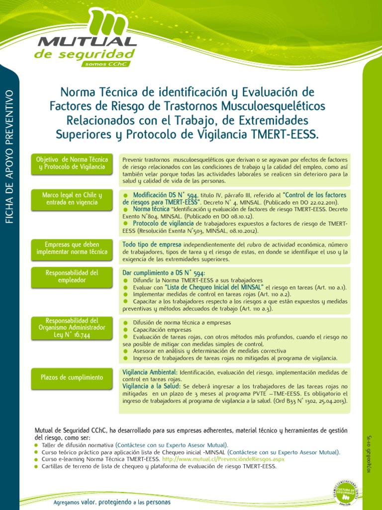 4 +FAP+Norma+Técnica+TMERT-EESS | PDF | Business | Bienestar