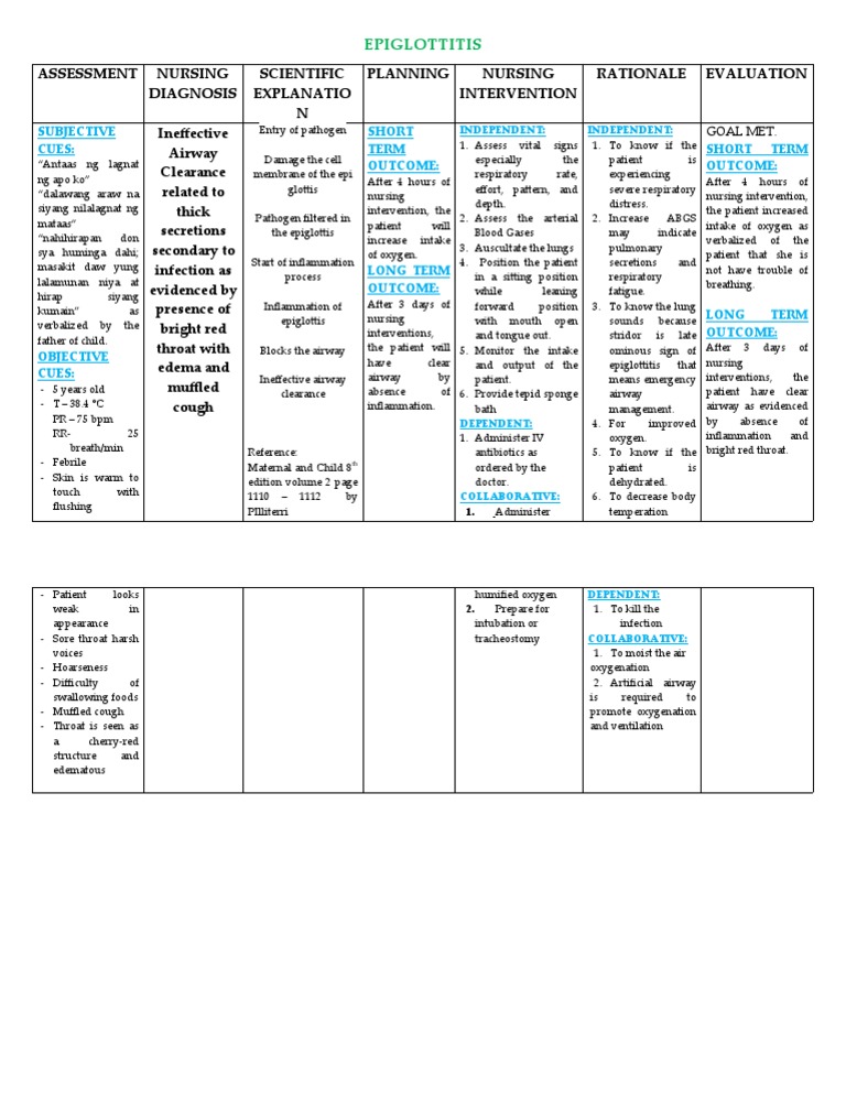 Epigl | PDF | Respiratory System | Lung