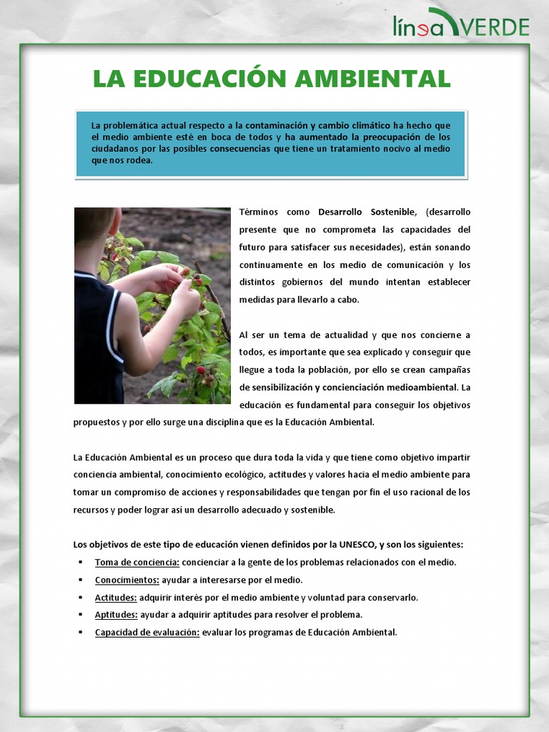 Organizacion-CTE 2019 - 2020 VF PDF | PDF