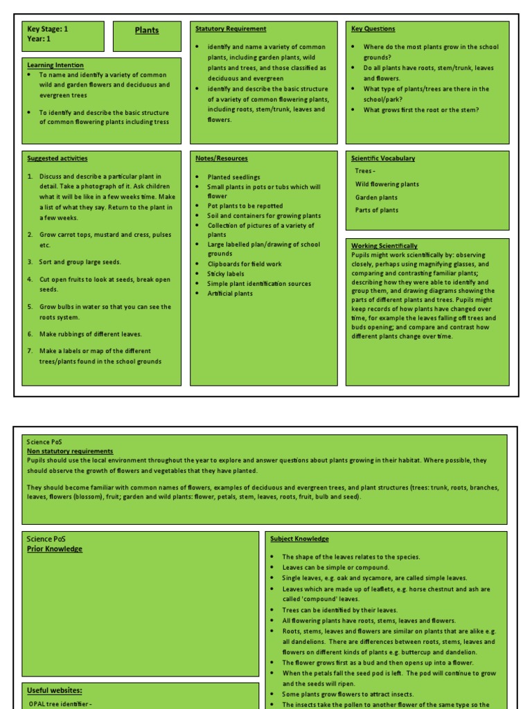 Plants: Key Stage: 1 Year: 1 | PDF | Trees | Flowers