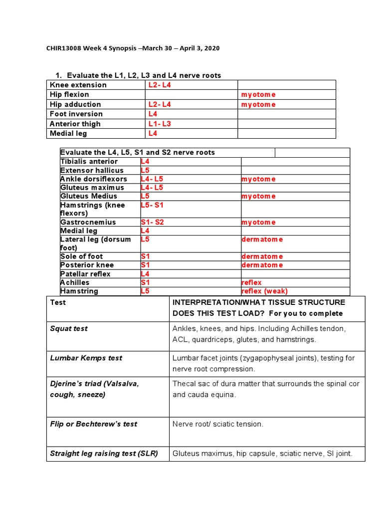 L2-L4 Myotome L2 - L4 Myotome L4 L1 - L3 L4: Squat Test | PDF | Human ...