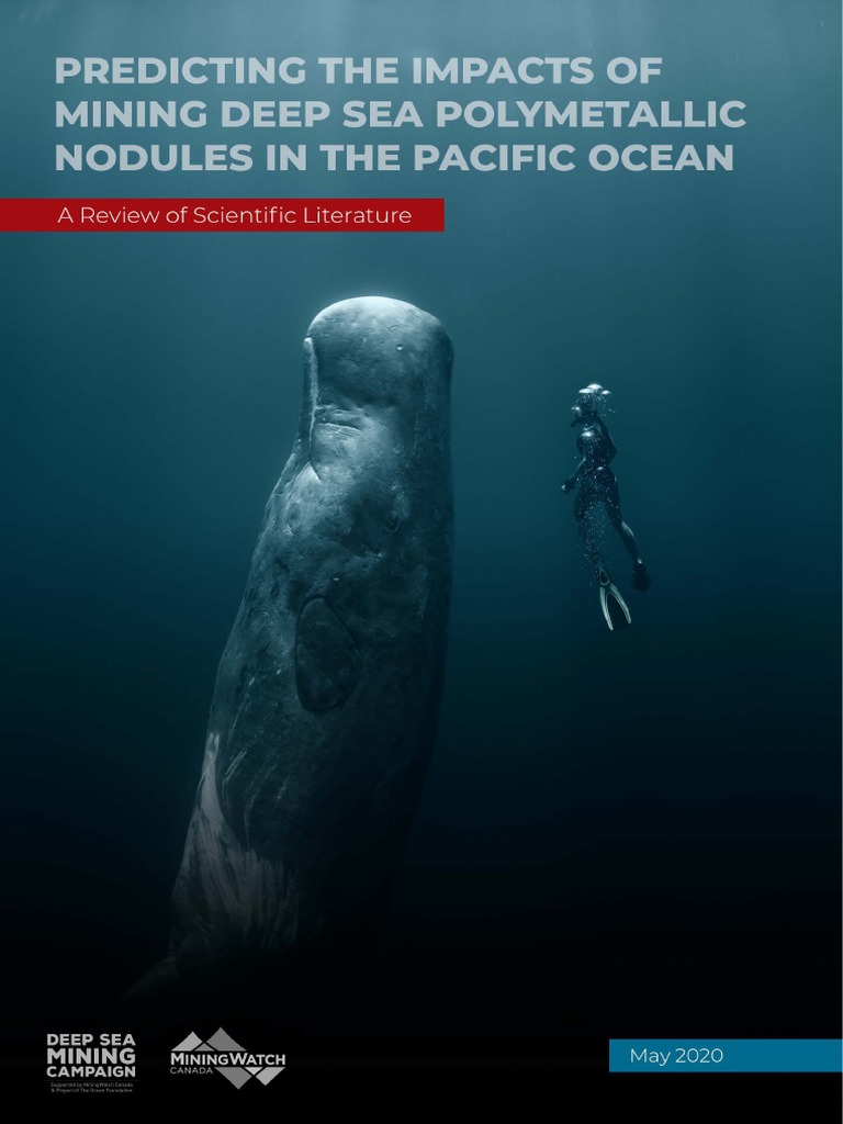 Predicting The Impacts of Mining Deep Sea Polymetallic Nodules in The ...