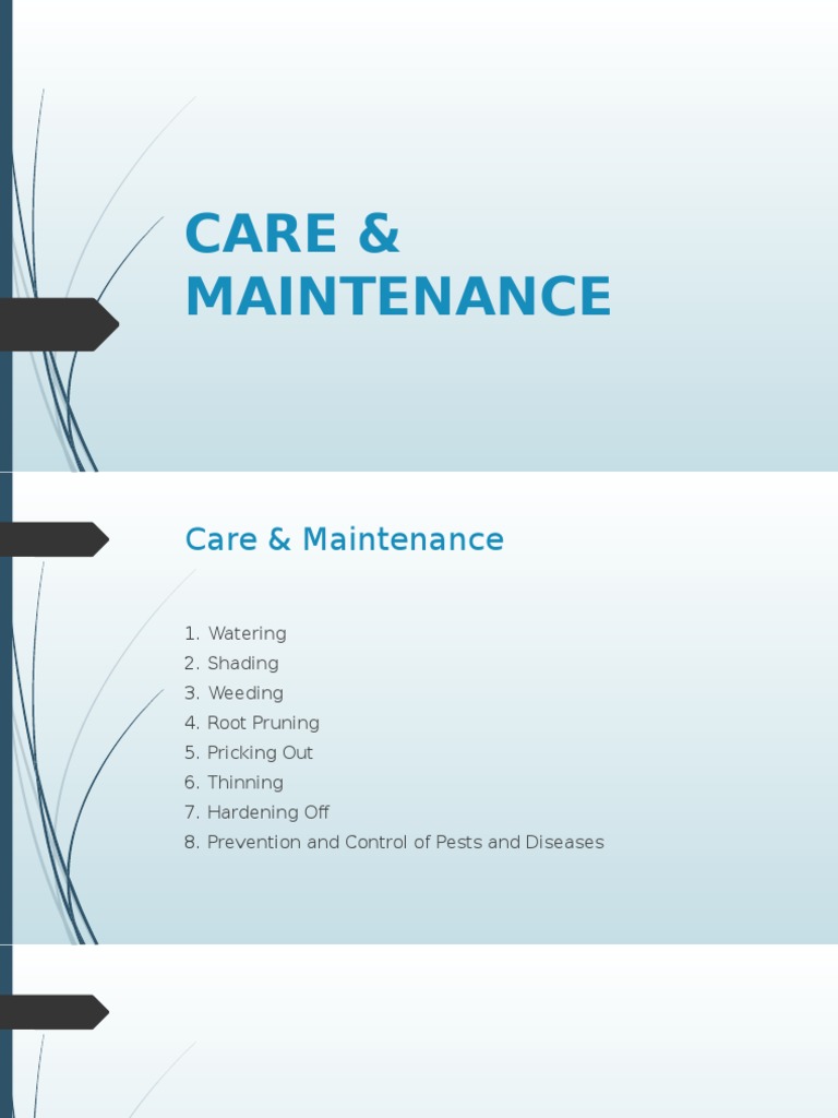 Care & Maintenance | PDF | Plant Nursery | Seedling